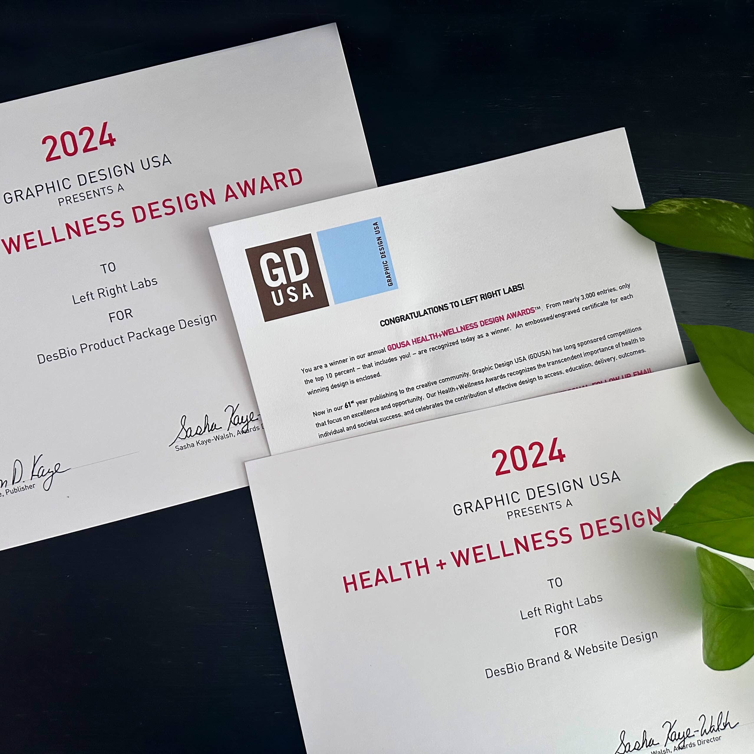 Celebrating Excellence: Left Right Labs Wins Design and Product ...